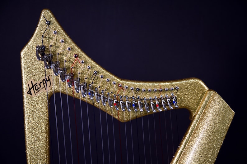 22 String Iris Harpy With Levers - Electric-acoustic Harp - Gold - Etsy