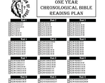 men's bible study plan