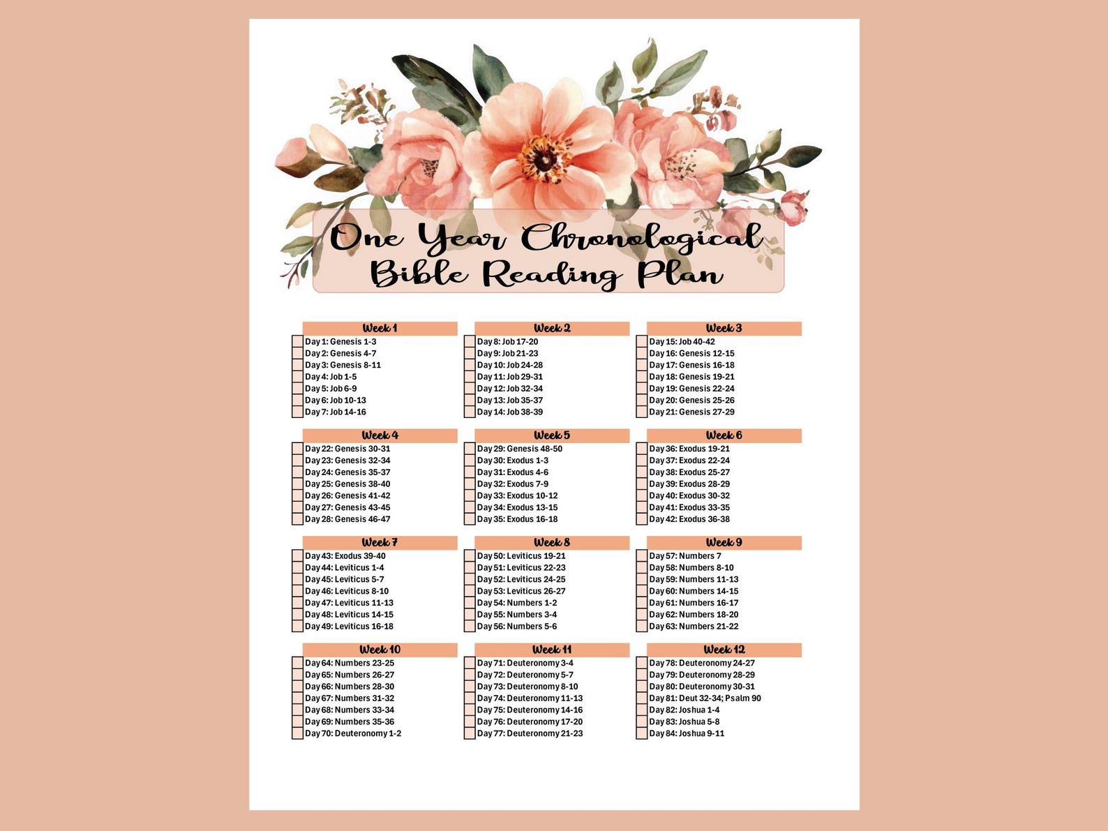 Chronological Bible Reading Plan Printable Bible Tracker, One Year ...