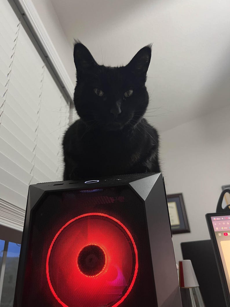 Employee of the Month | Cat | Work From Home Buddy | Cute | Sticker ...