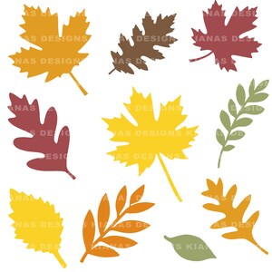 Fall Leaves File Bundle| Fall / Clip Art / Maple Leaf / Autumn / PNG ...