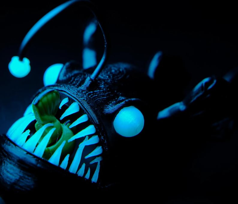 Flexible Anglerfish - A Tribute to the Deep Sea's Lost Wonder - Etsy