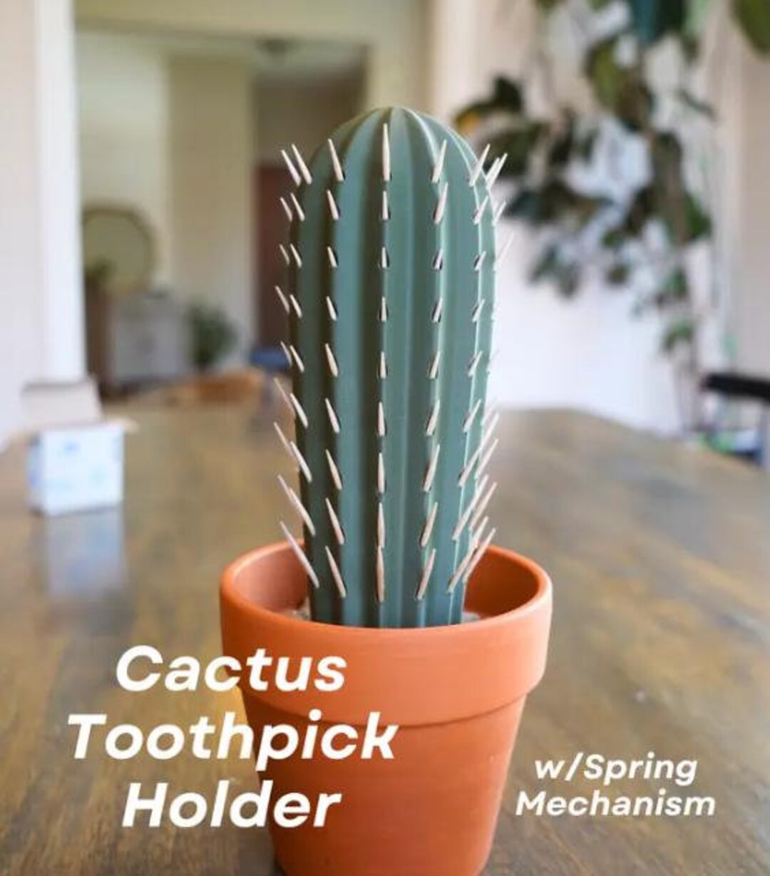 Toothpick Cactus | Home Decoration - Etsy
