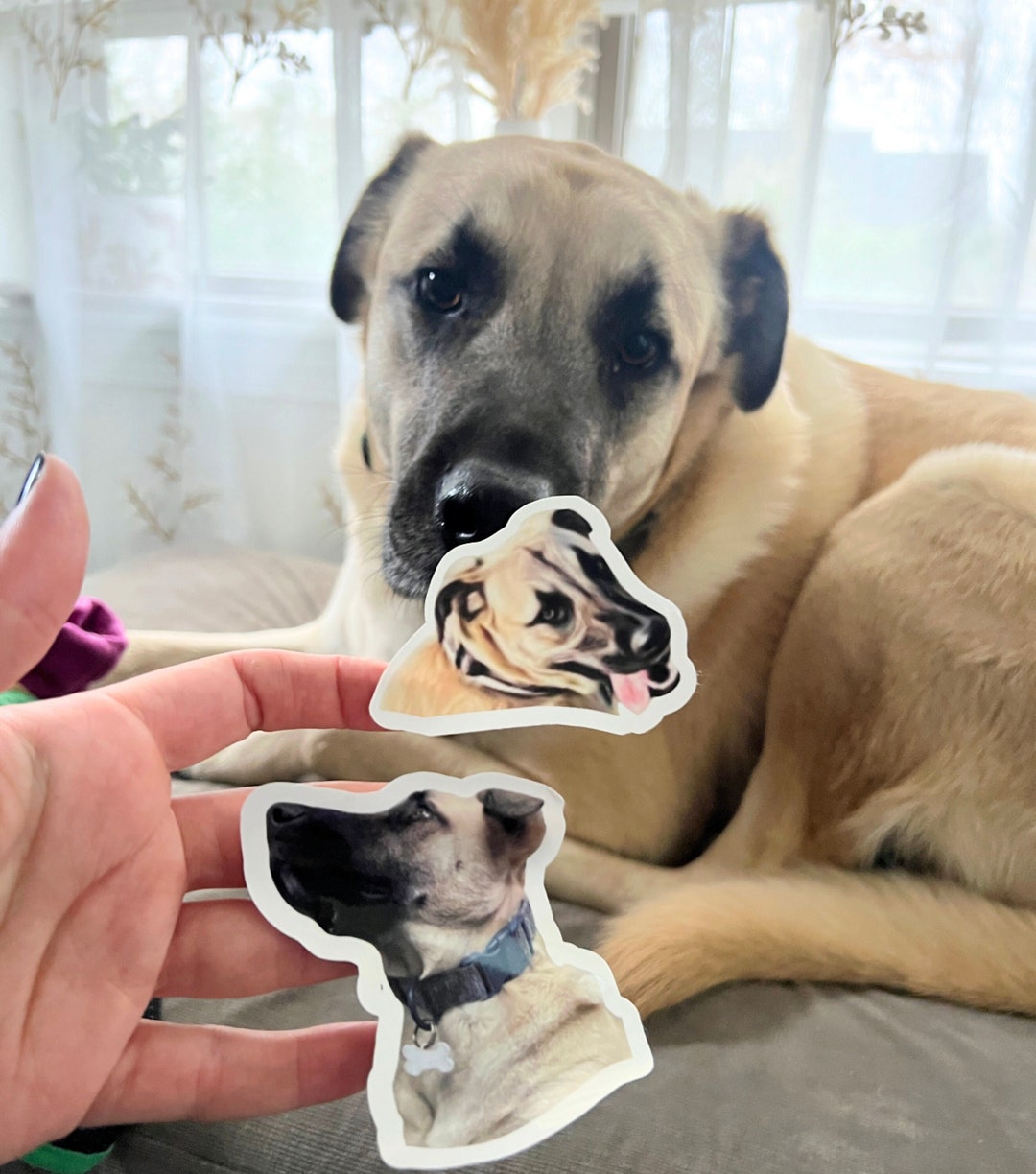 Custom Photo Dog Sticker SET for Tumbler,40 Oz Tumbler Waterproof ...