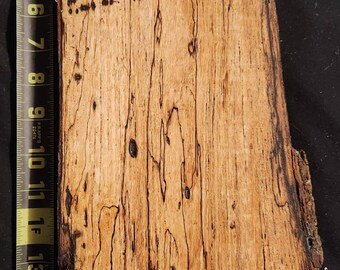 Spalted Ash Slab - Etsy