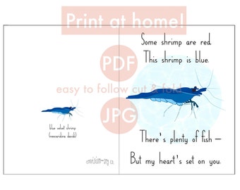 Funny Shrimp Card - Etsy