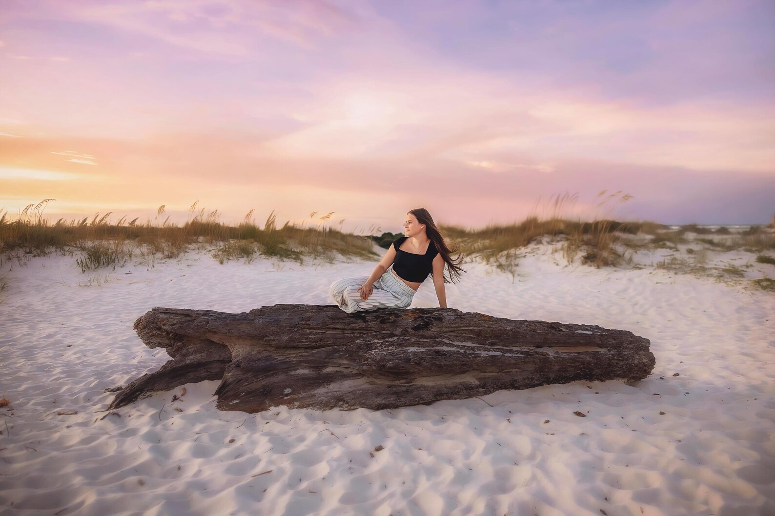 Driftwood Beach Sunset Digital Backdrop | Coastal Photography ...