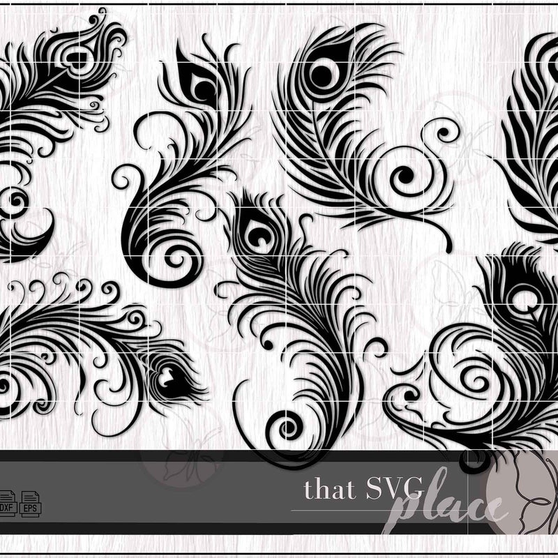 Peacock Feather Svg - Etsy