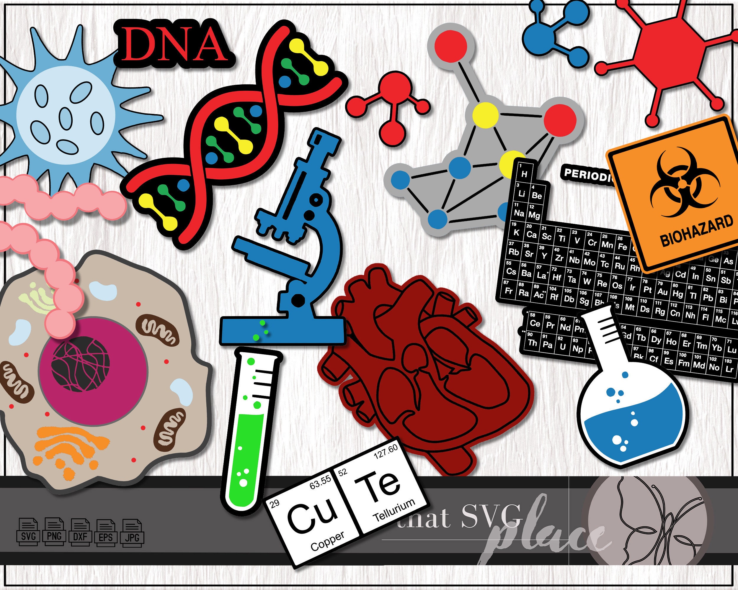 Biology SVG Science Clipart Science Teacher SVG Bundle Cut - Etsy