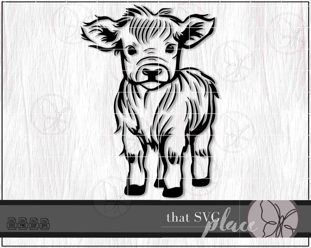 Highland Cow SVG, Cute Cow SVG, Heifer SVG, Baby Cow Svg, Calf Svg ...