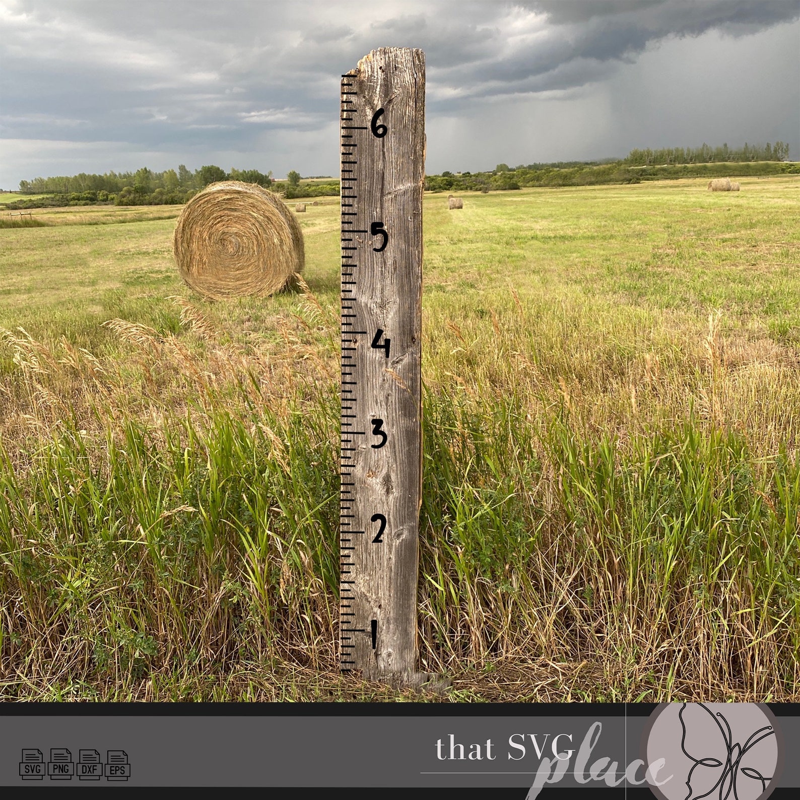 Growth Chart SVG Classic Winnie the Pooh Growth Chart Ruler - Etsy