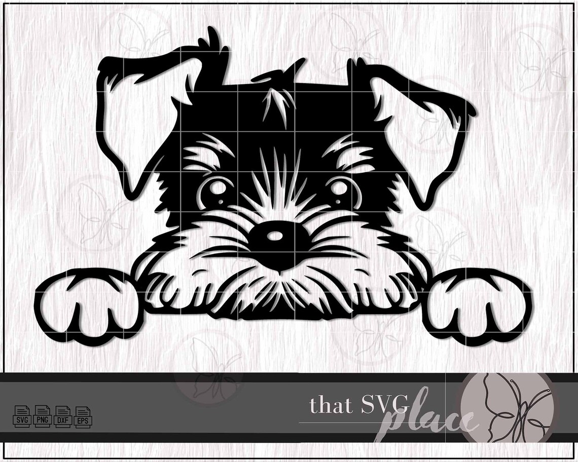 Schnauzer SVG, Mini Giant Standard Miniature Schnauzer Owner Shirt SVG ...