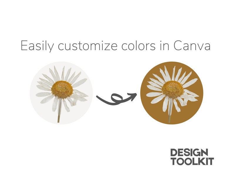 Instagram Highlight Covers, Flower IG Highlight Covers, Boho Instagram ...