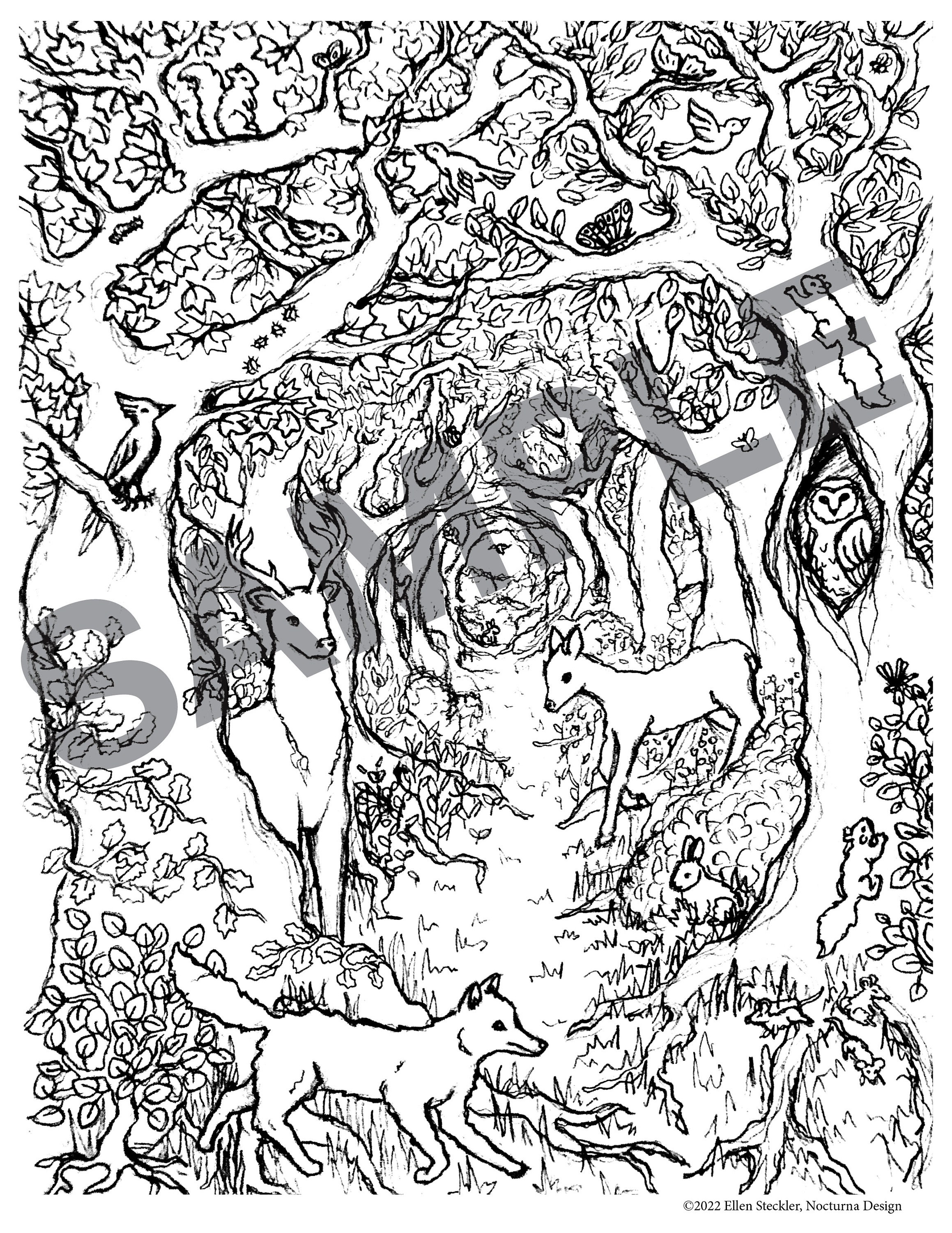 Forest Printable Adult Coloring Page - Etsy