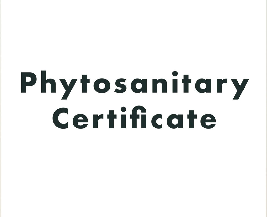 Phytosanitary Certificate - Add On - Etsy