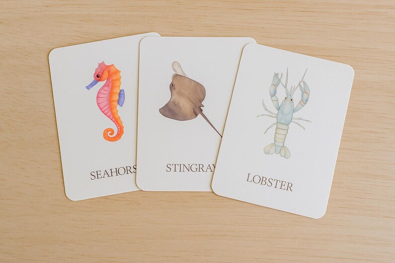 Sea Animal Flashcards Printable | Montessori Inspired Ocean Life Cards ...