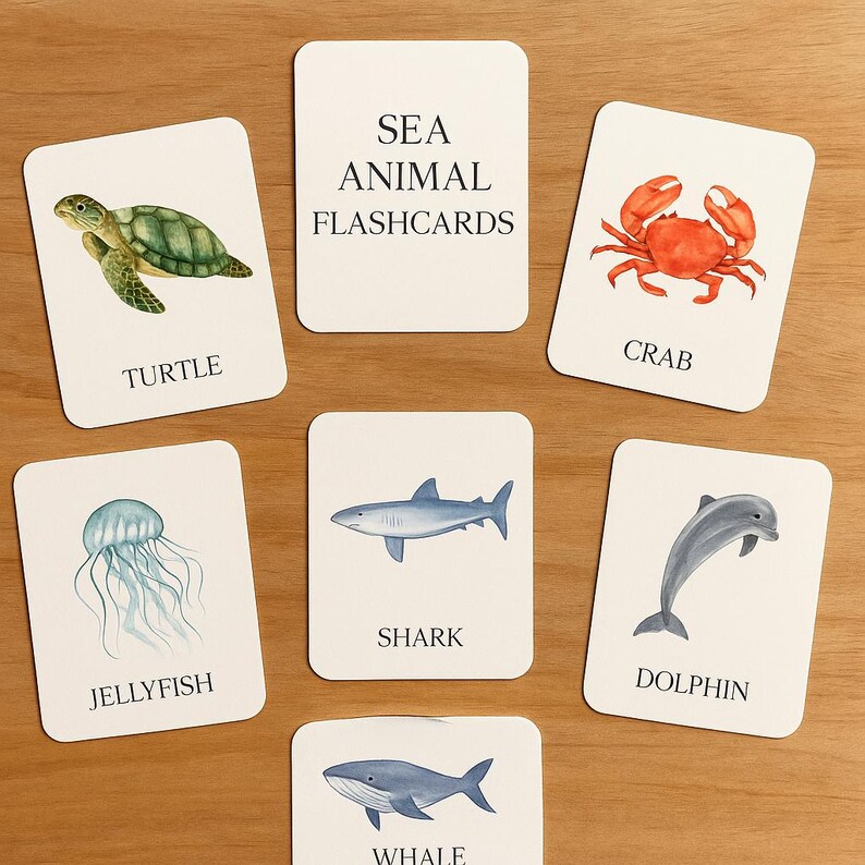 Sea Animal Flashcards Printable | Montessori Inspired Ocean Life Cards ...