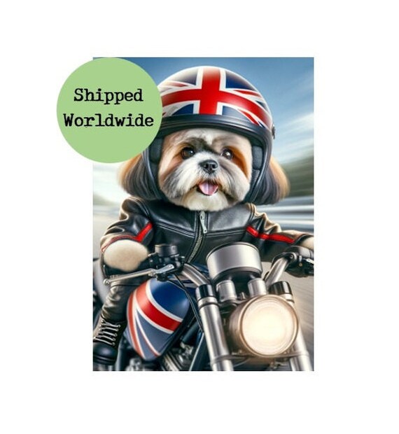 Lhasa Apso Memes