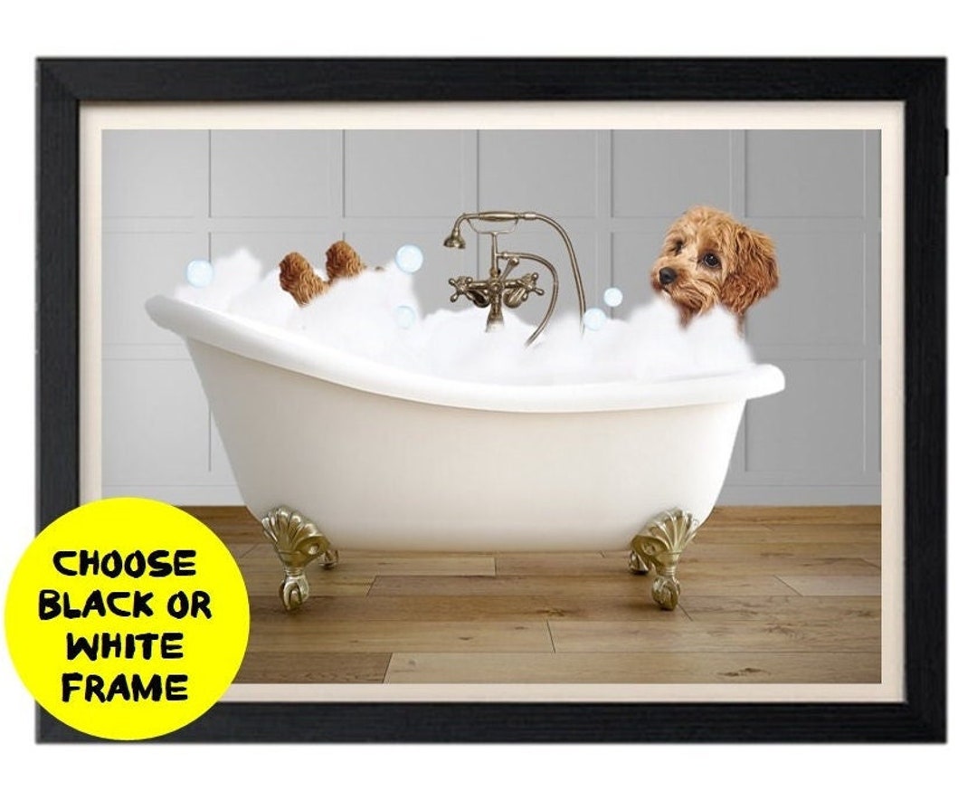 Cockerpoo in Bath Print Cockapoo Funny Dog Bathroom Wall - Etsy UK
