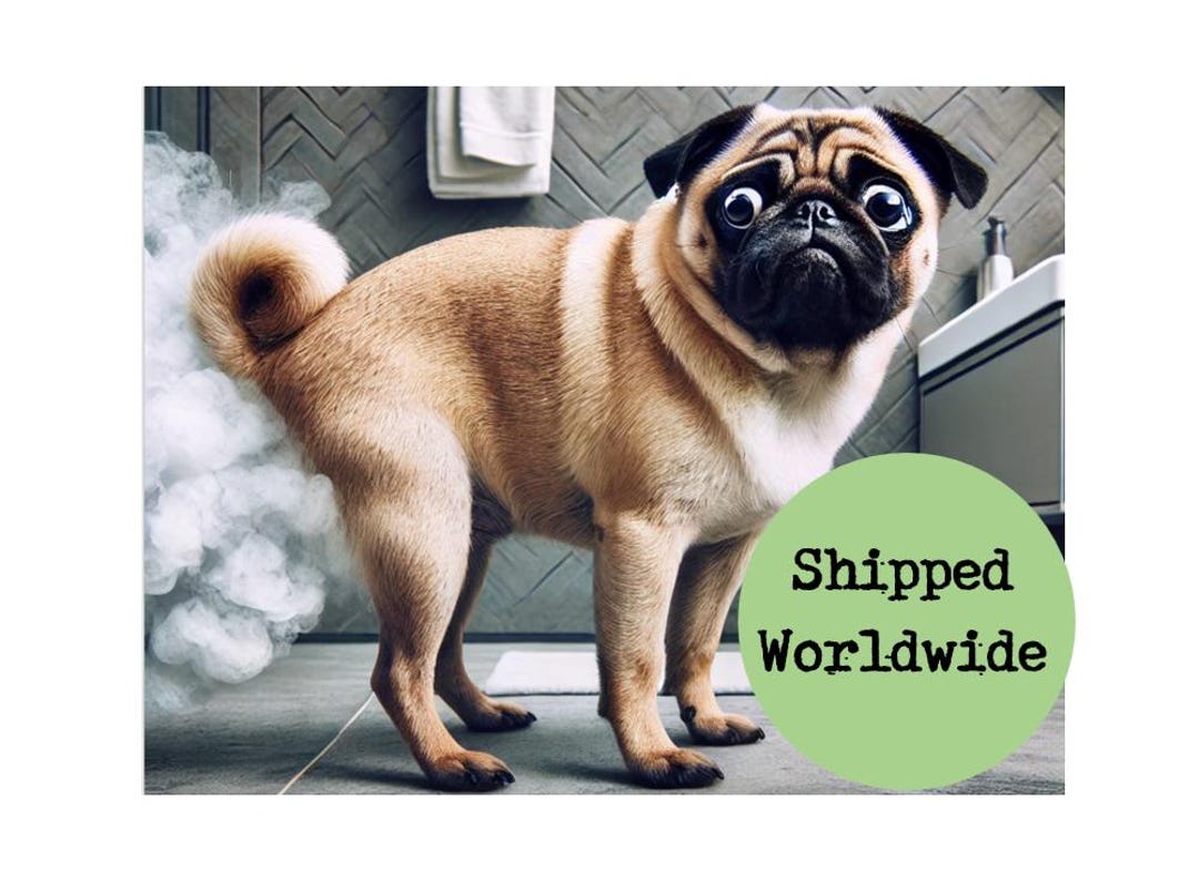 Pug Farting Print - Funny Dog Picture - Animal in Bathroom Toilet ...