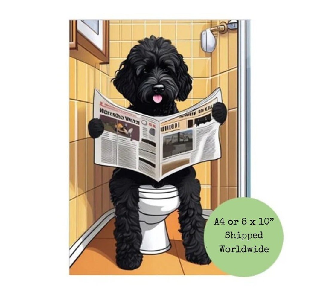 Black Cockapoo on Toilet Reading Newspaper Print - Cockerpoo Sitting on ...