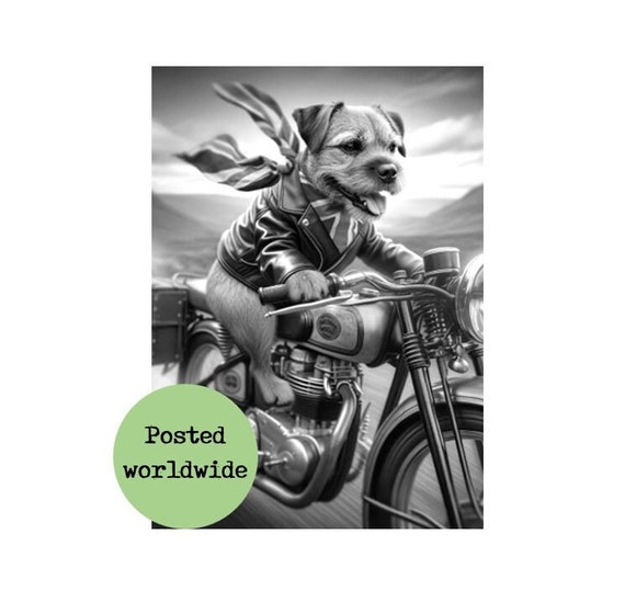Motorfiets Tekeningen Foto's Motorrijder Op Motorfiets Tekening