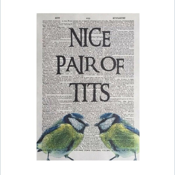 Bird Dictionary Art - Etsy