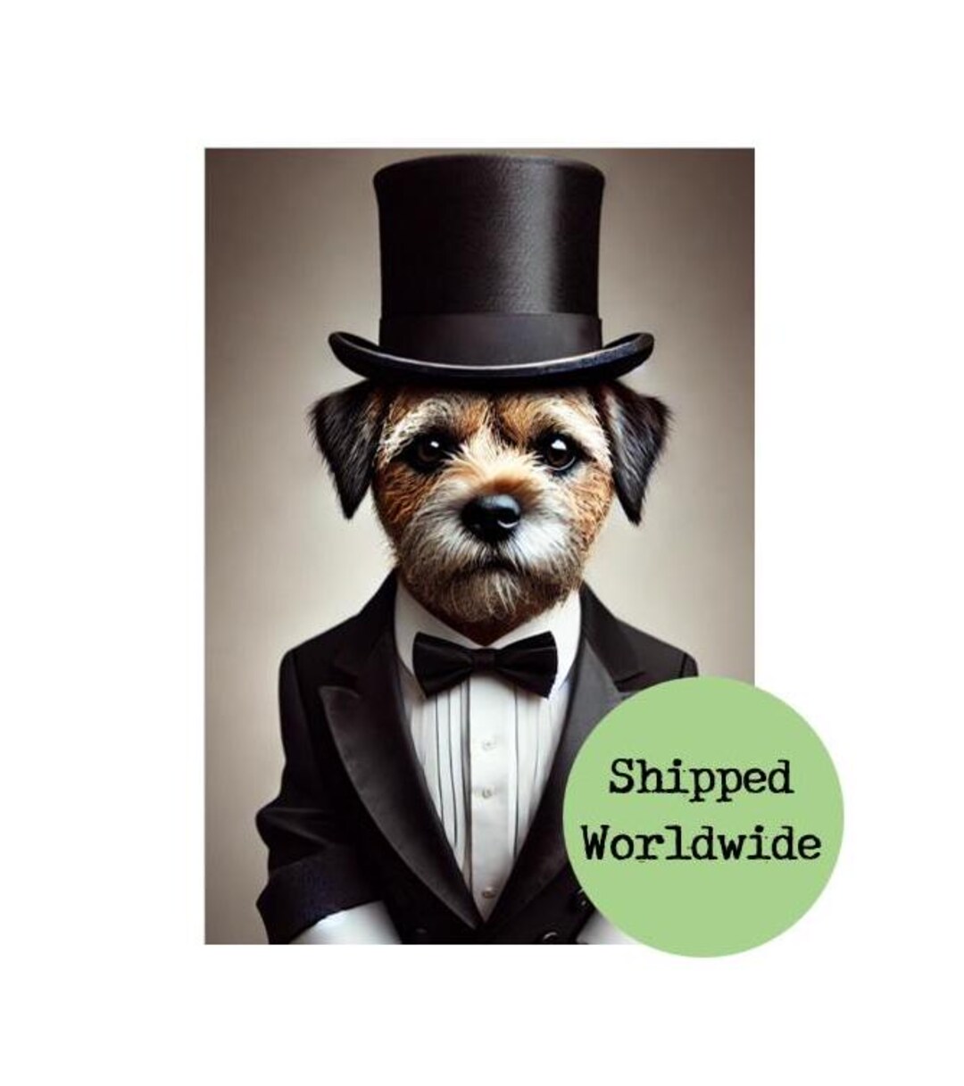 Border Terrier Wearing Top Hat & Tails - Dog in Tuxedo Bow Tie Animal ...