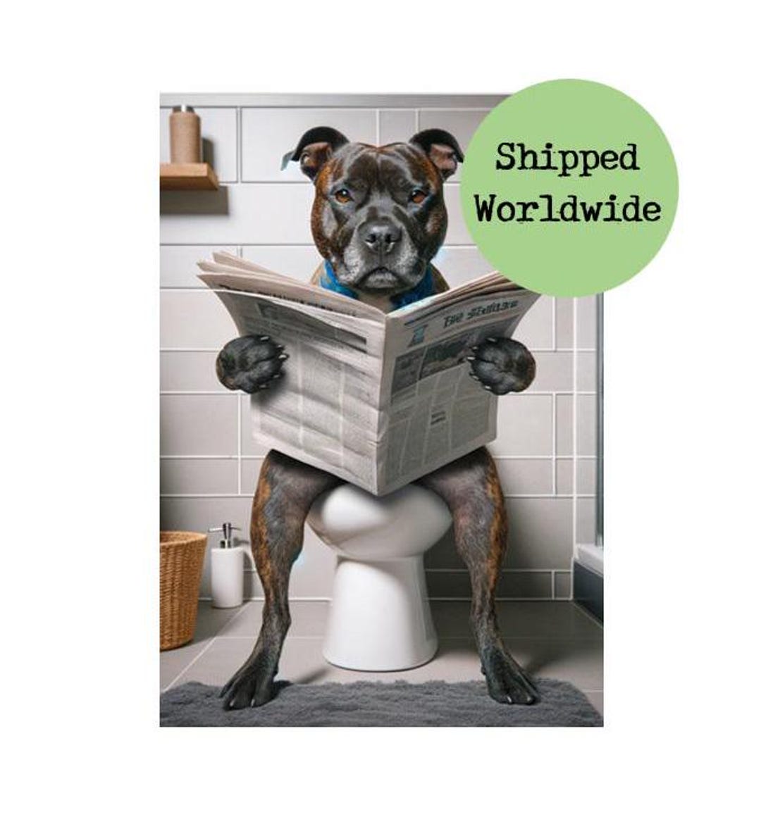 Brindle Staffy on Toilet Reading Newspaper - Funny Staffordshire Bull ...