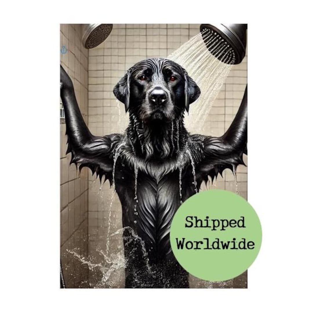 Black Labrador in Shower Print - Funny Dog Lab Bathroom Picture ...