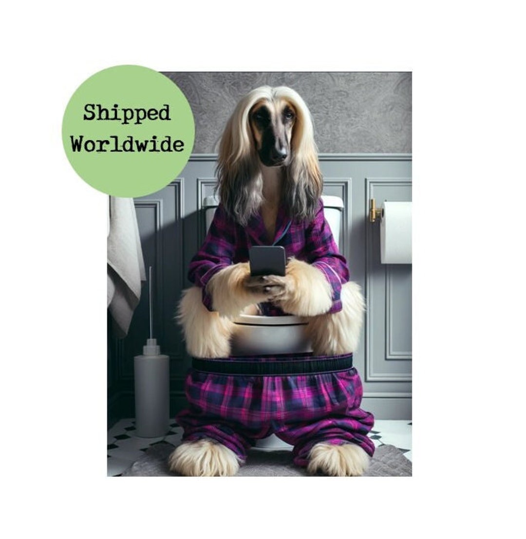 Afghan Hound Sitting on Toilet With Mobile Phone Print Funny Dog With ...