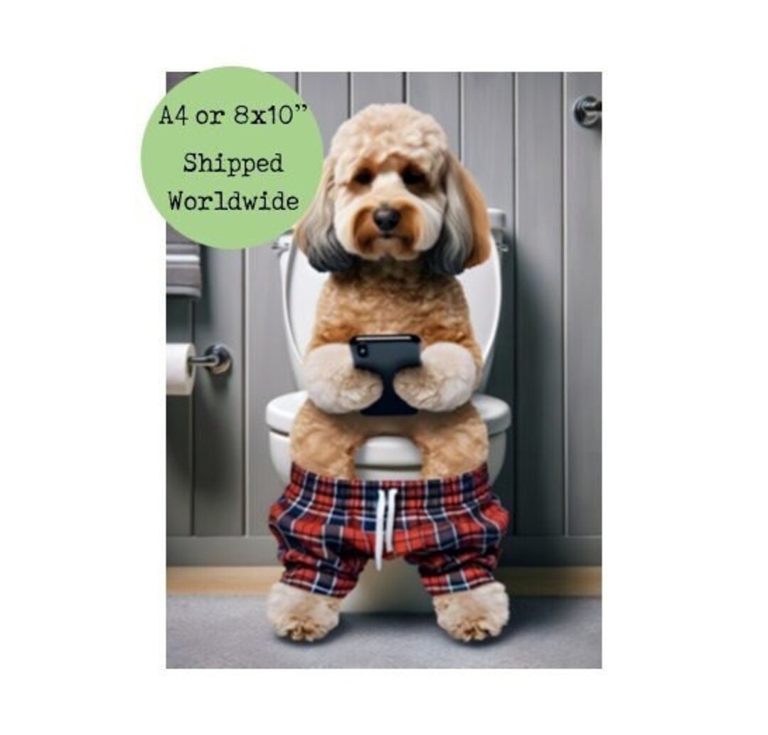 Cockapoo on Toilet on Mobile Phone Print - Cockerpoo Sitting on Loo ...