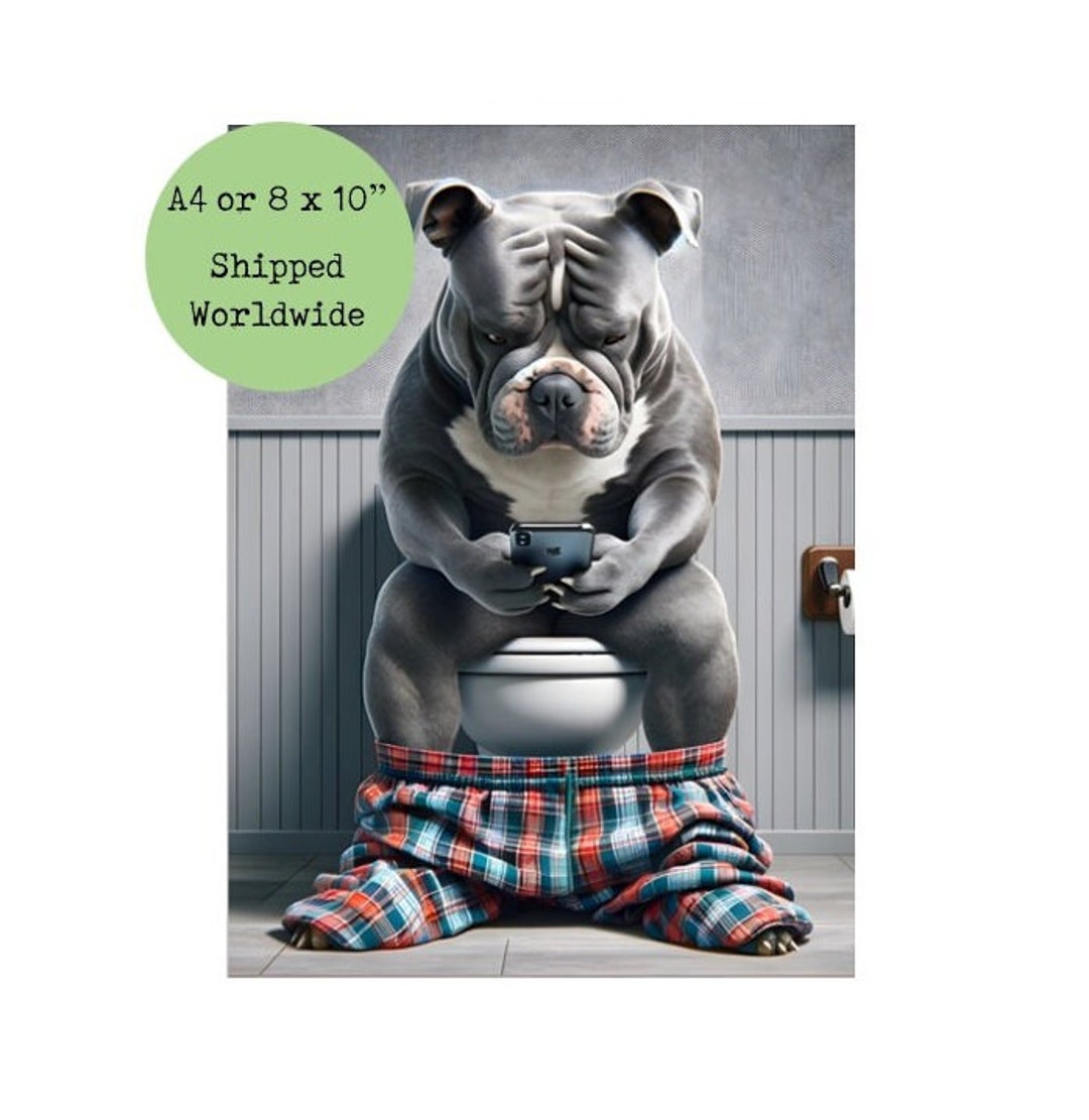 XL Bully Sitting on Toilet on Mobile Phone Print Funny Dog on Loo ...