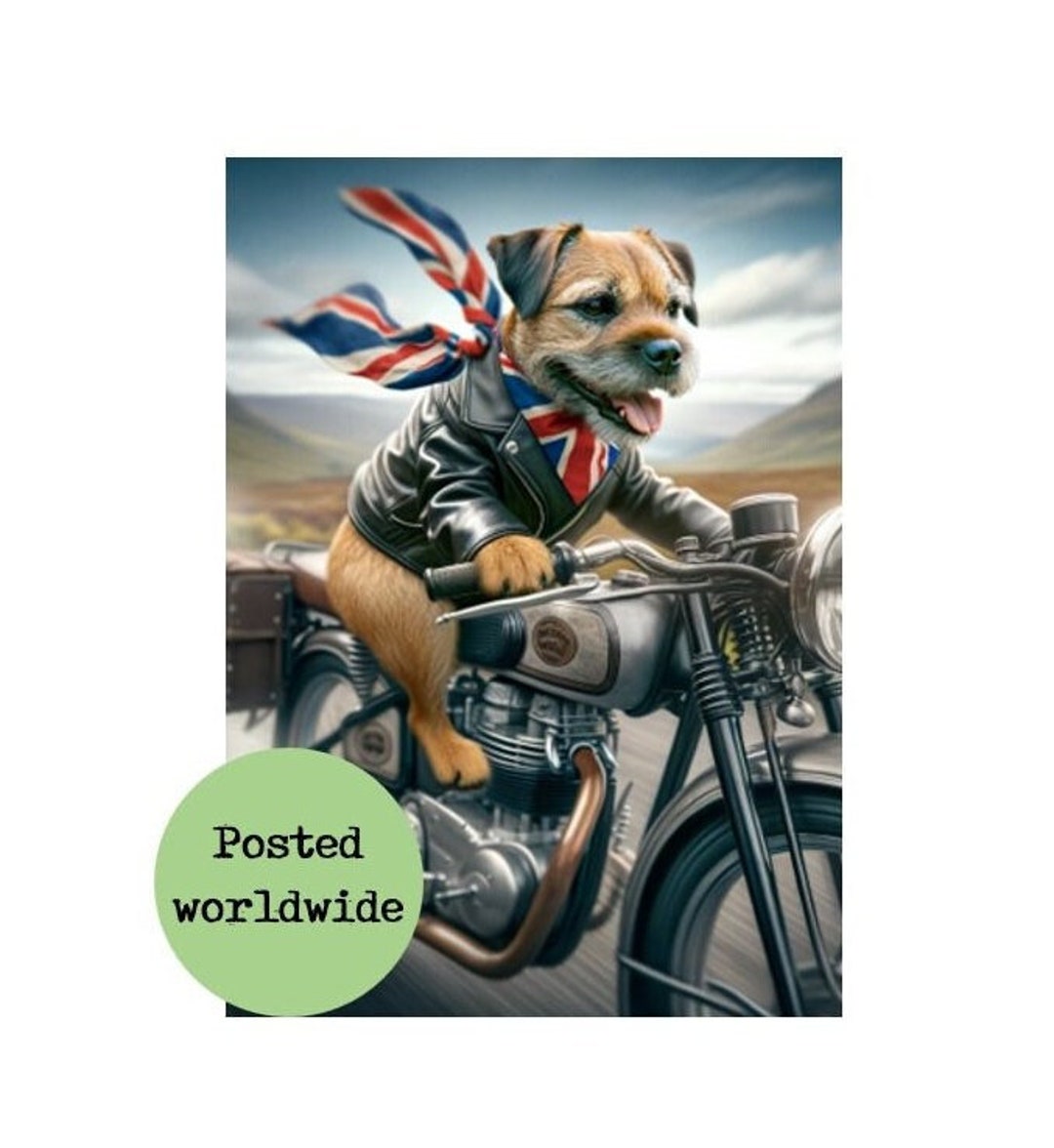 Border Terrier Riding Motorbike Print - Funny Dog Picture Vintage Union ...