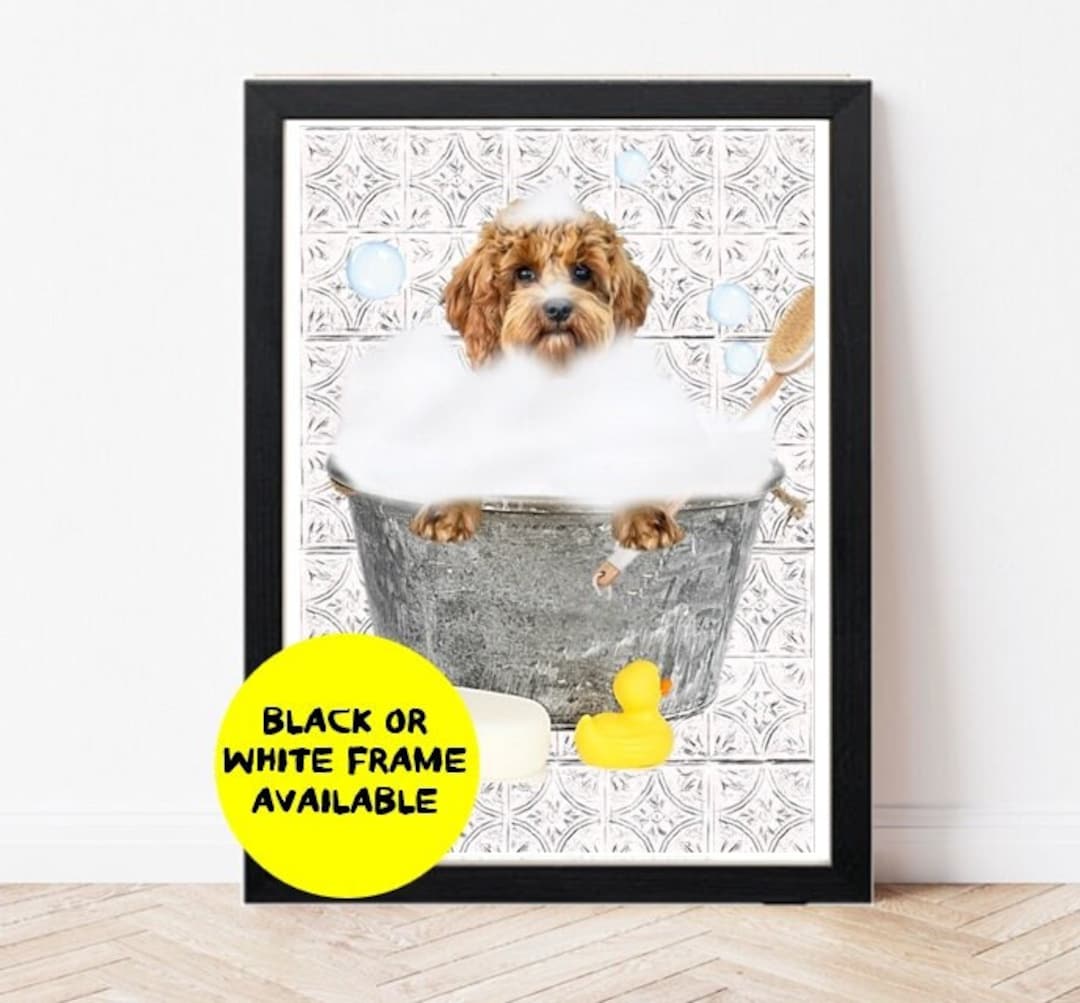 Cavapoo in Bath Print Dog in Vintage Tin Bath Picture Dog - Etsy UK