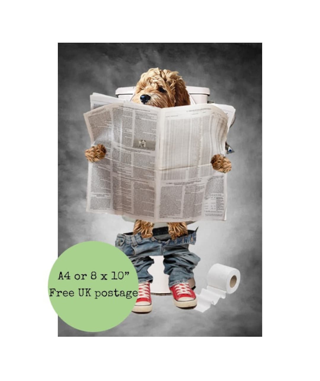 Cockapoo on Toilet Print Cockerpoo Sitting on Loo Funny Dog Picture ...