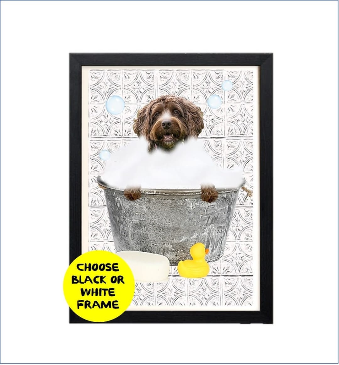 Cockapoo in Bath Print Chocolate Cockerpoo Picture Dog in Vintage Tin ...
