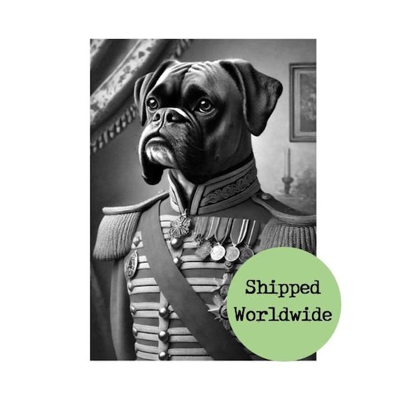 Military Boxer Dog