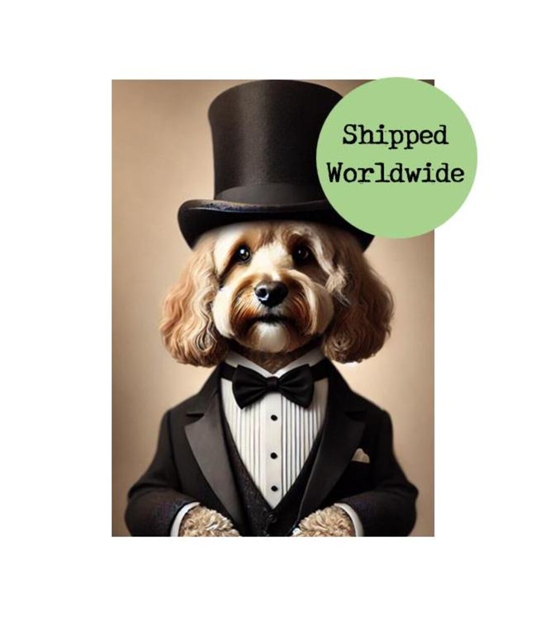 Cockapoo Wearing Top Hat and Tails - Cockerpoo in Tuxedo and Bow Tie ...