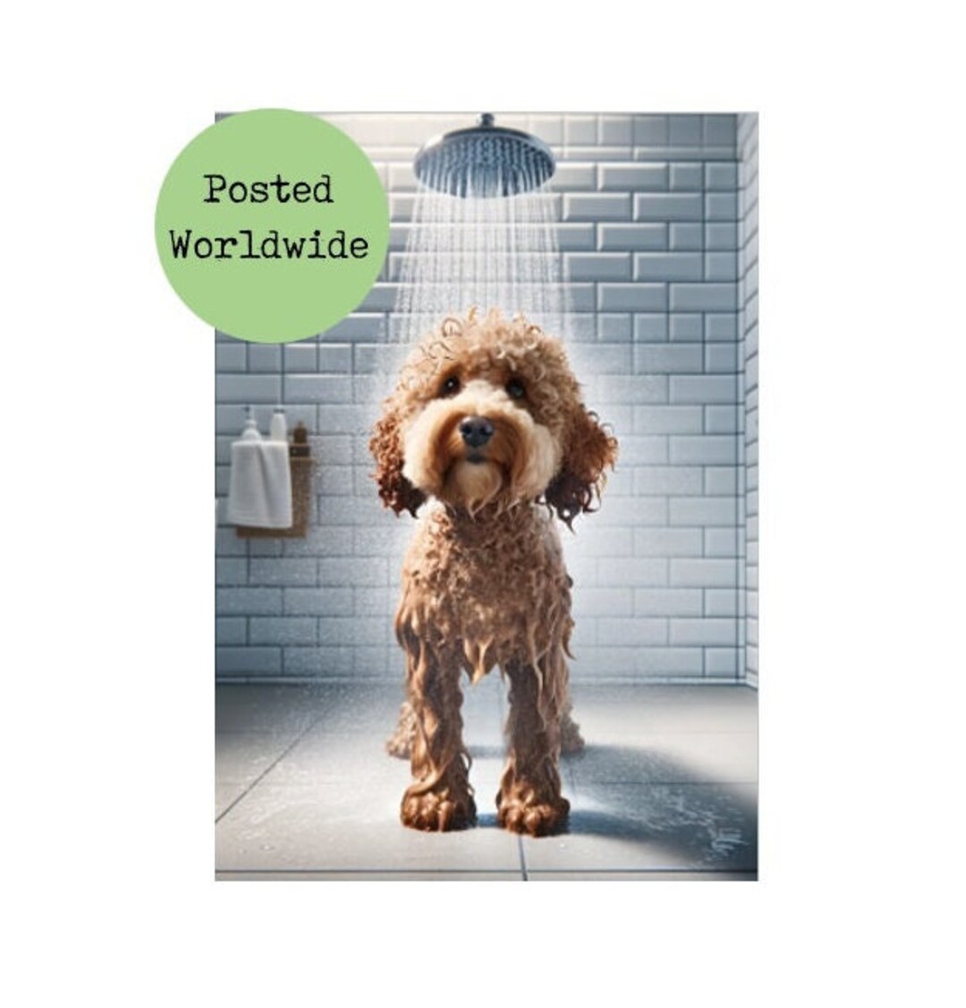 Cockapoo in Shower Print - Funny Cockerpoo Dog in Bathroom Picture ...