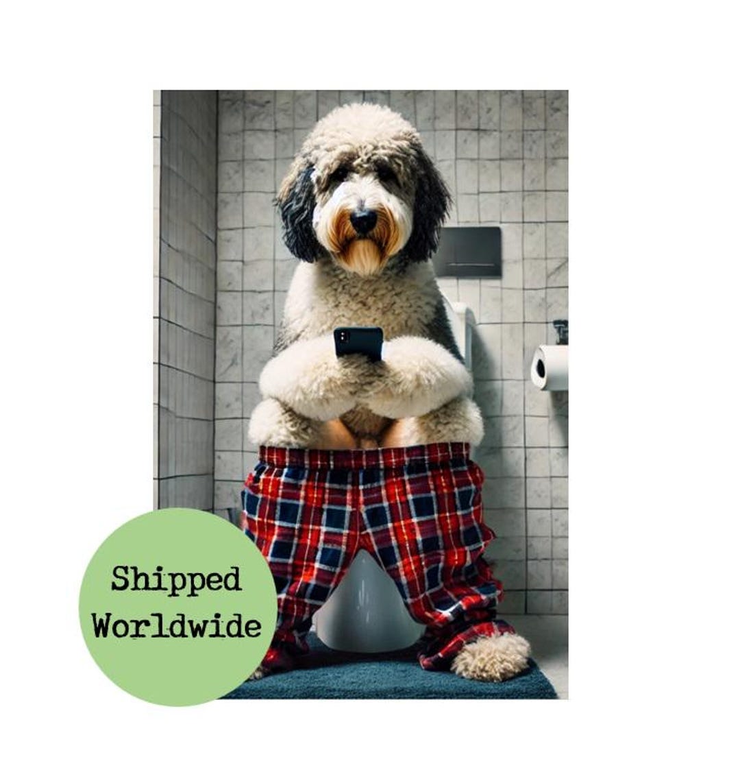 Sheepadoodle on Toilet Print - Funny Dog on Toilet Picture Animal on ...
