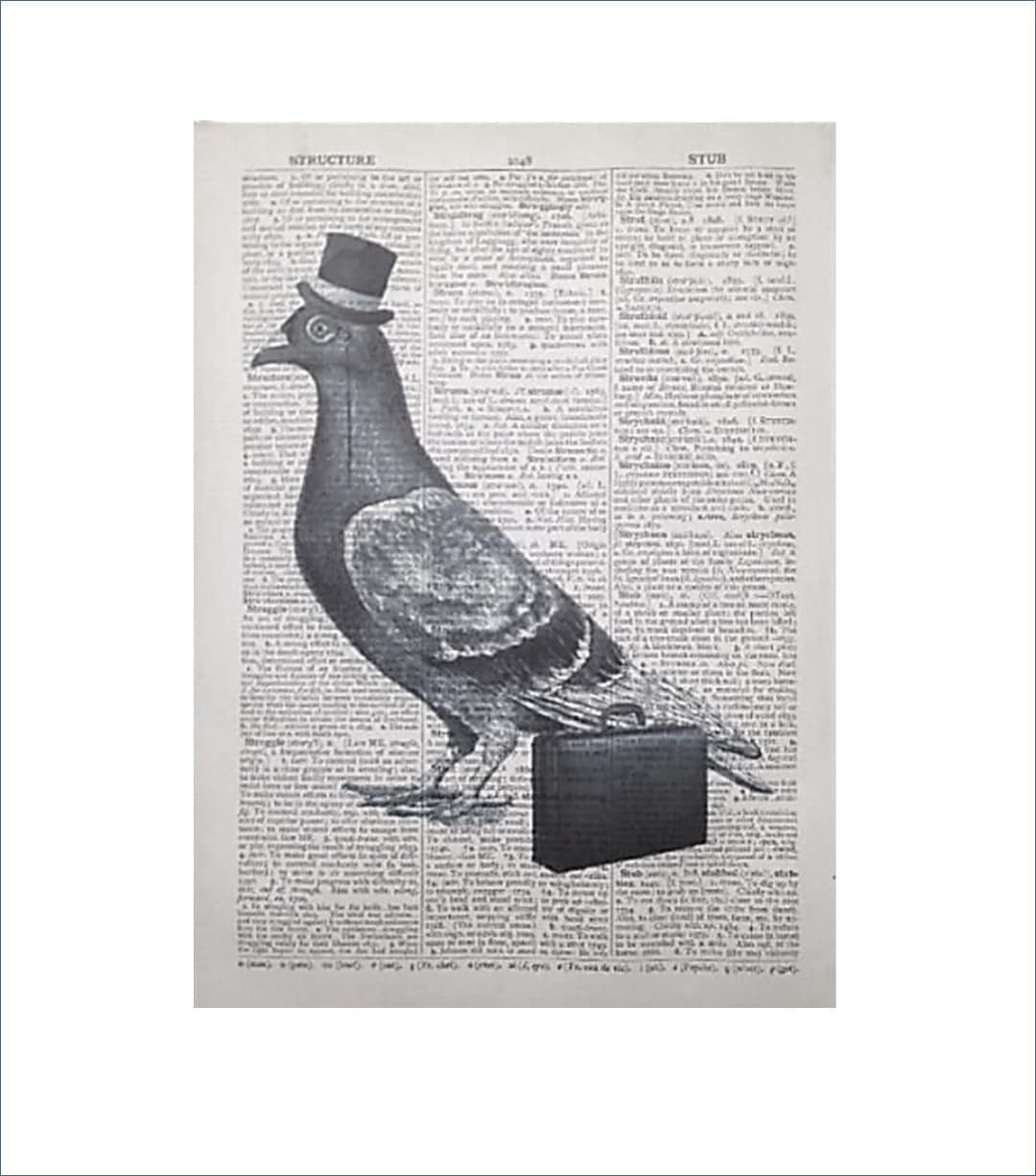 Pigeon Print Bird Wall Art London Decor Steampunk Animal Picture Pigeon ...