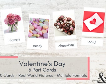 Valentine's Day 3 Part Cards - Watercolor Pictures - Montessori Cards ...