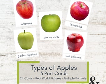 Montessori 3 Part Cards - Types of Apples - Etsy