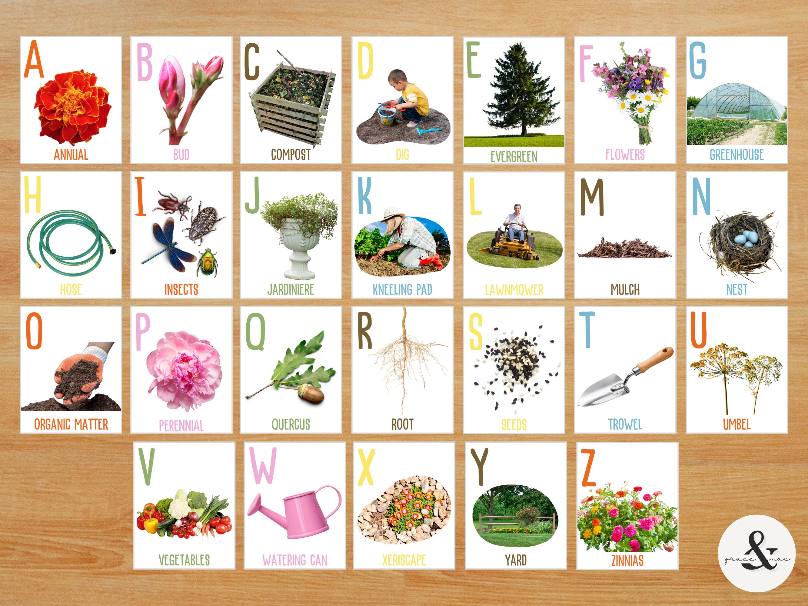 Gardening Garden Themed ABC Alphabet Cards - Real World Pictures Spring ...