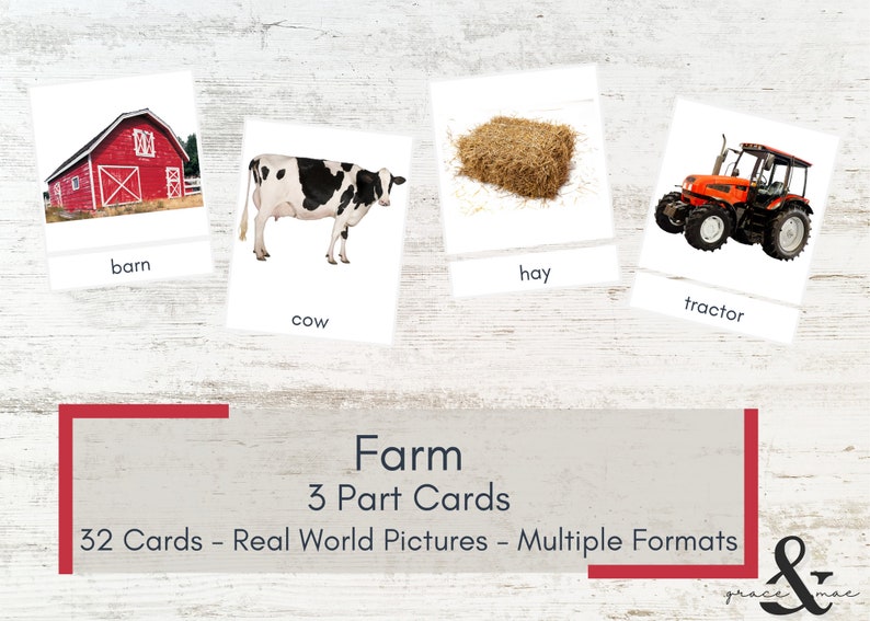 Farm Animal 3-part Cards – Montessori Nomenclature (printable PDF) - Etsy