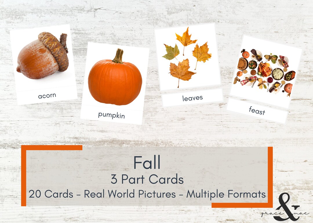 Fall Autumn 3 Part Cards - Real World Pictures - Montessori Cards ...