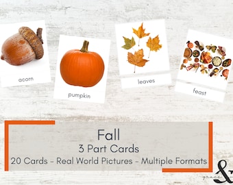 Types of Apples 3 Part Cards for Fall - Real World Pictures ...