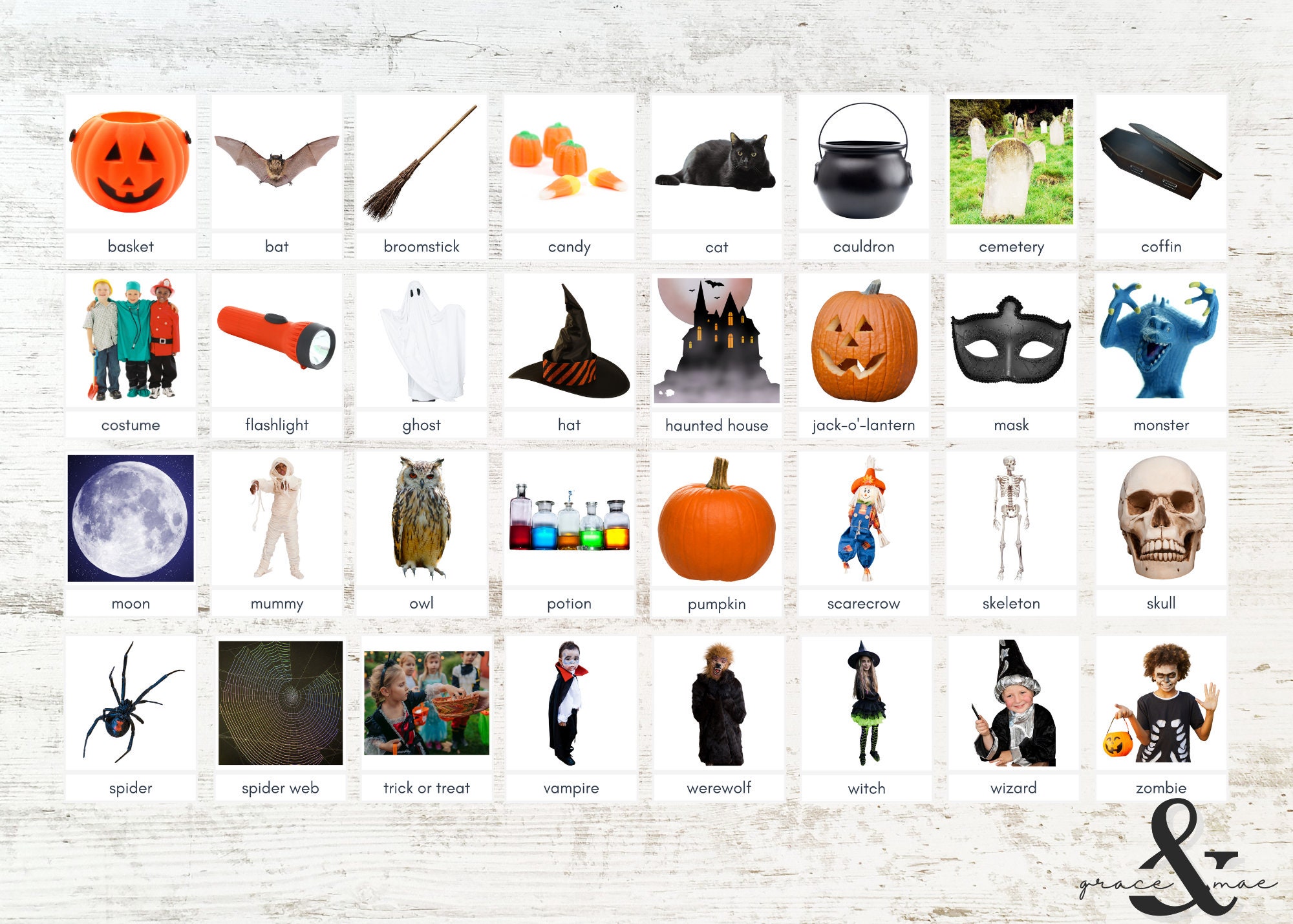 Halloween 3 Part Cards - Real World Pictures - Montessori Cards ...