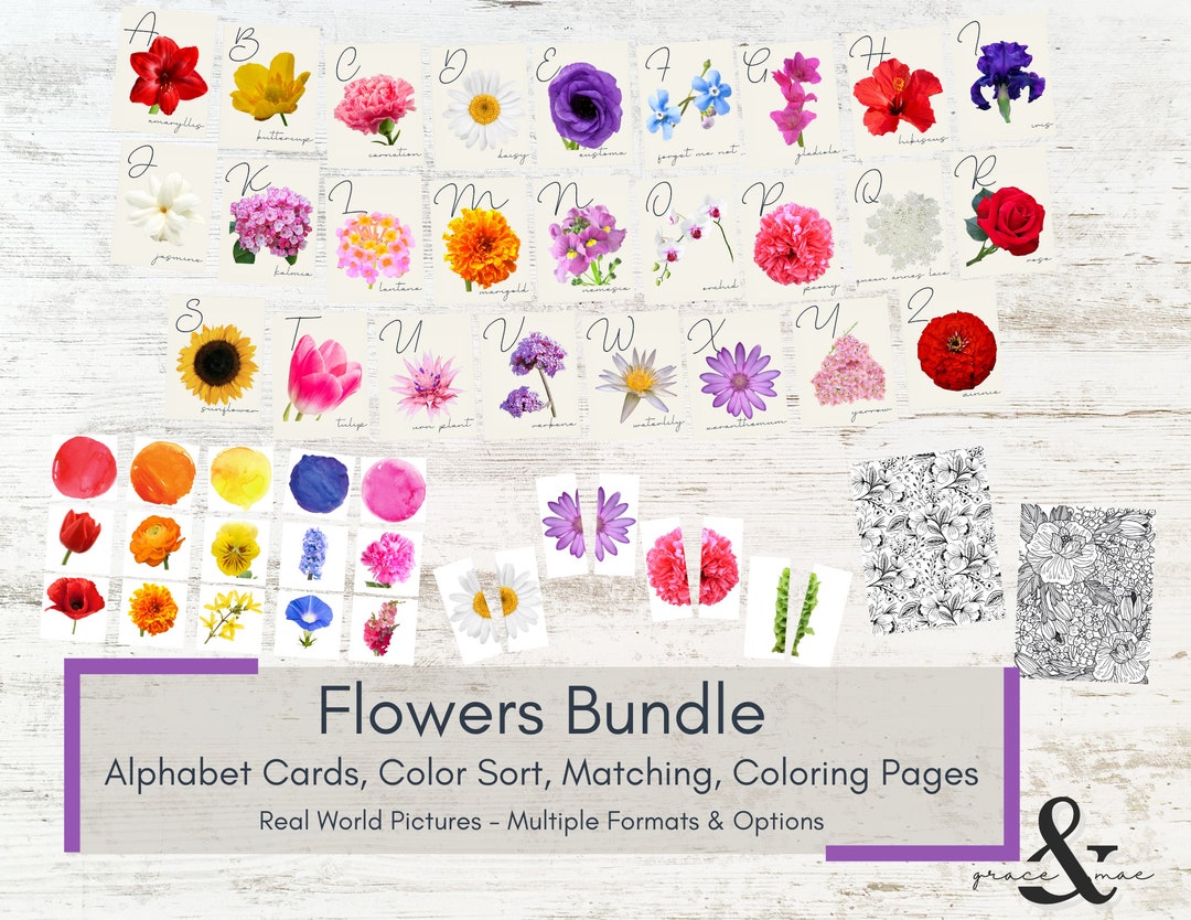 Spring Flowers Learning Bundle – Alphabet Cards, Color Sort (PDF) - Etsy